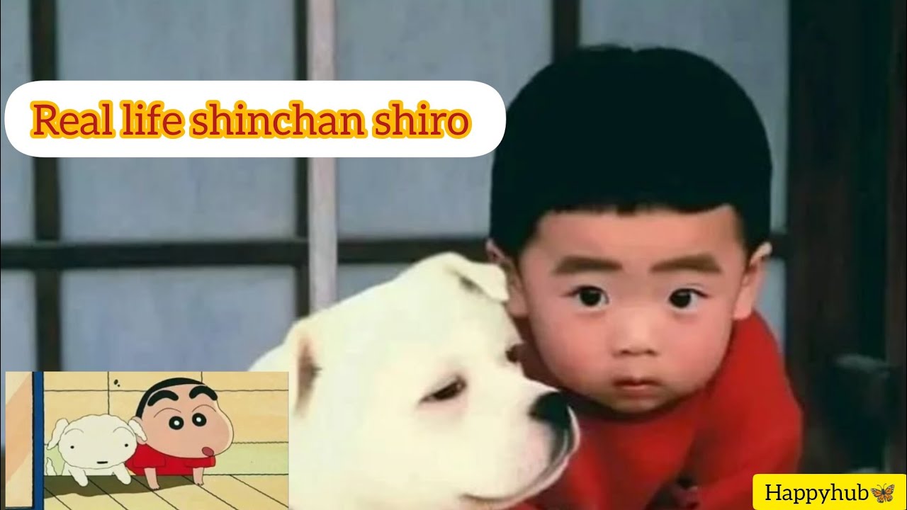 Real life shinchan shiro ️💥 #shinchanlove #shinchan #shinchanlovers # ...