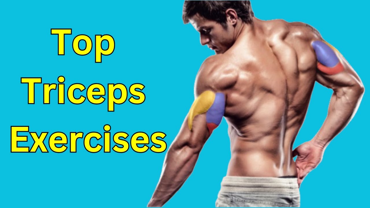 Best Tricpes Workout || Exercise for muscle building #triceps #workout ...