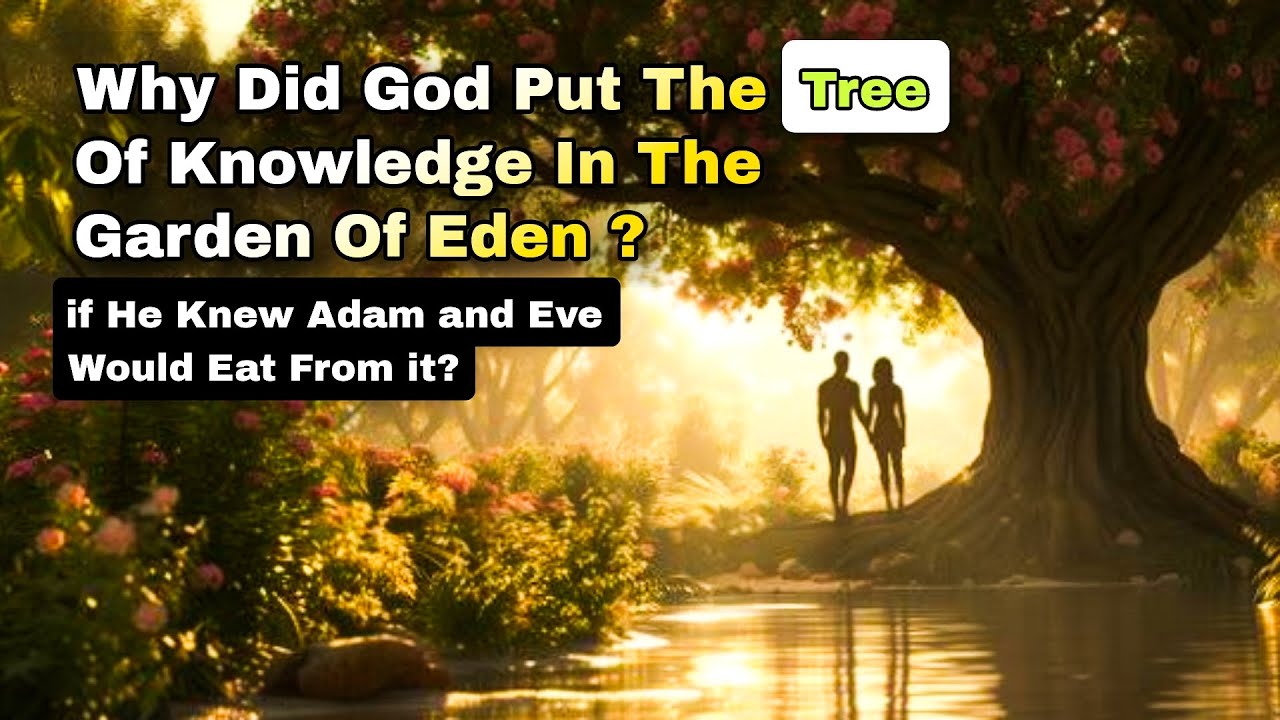 Why Did God Create The Tree of Good and Evil and why he put the tree in ...