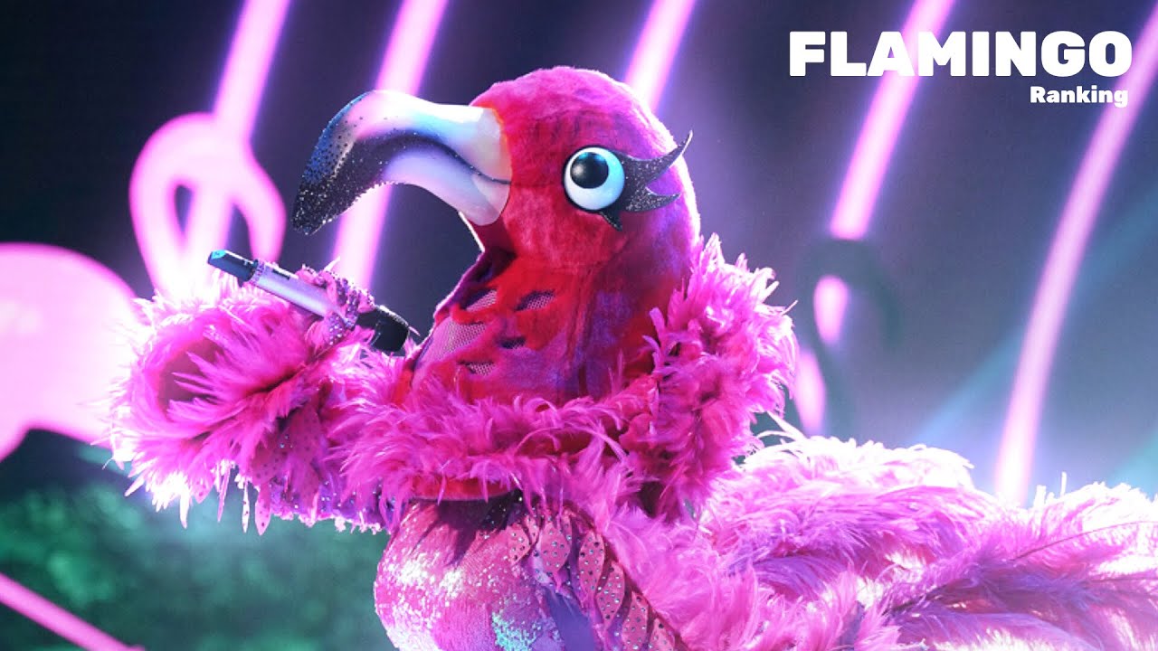 RANKING | Presentaciones de Flamingo | Flamingo's performances | TMS US ...