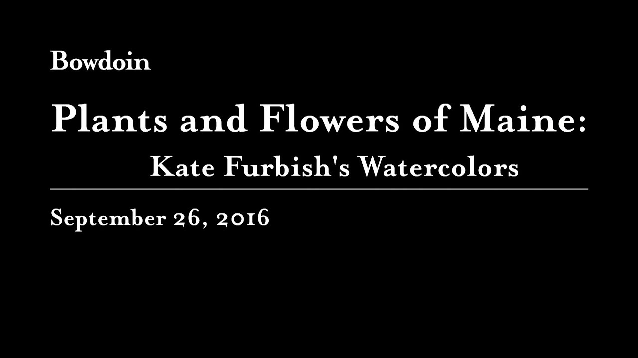 Plants and Flowers of Maine: Kate Furbish's Watercolors - YouTube