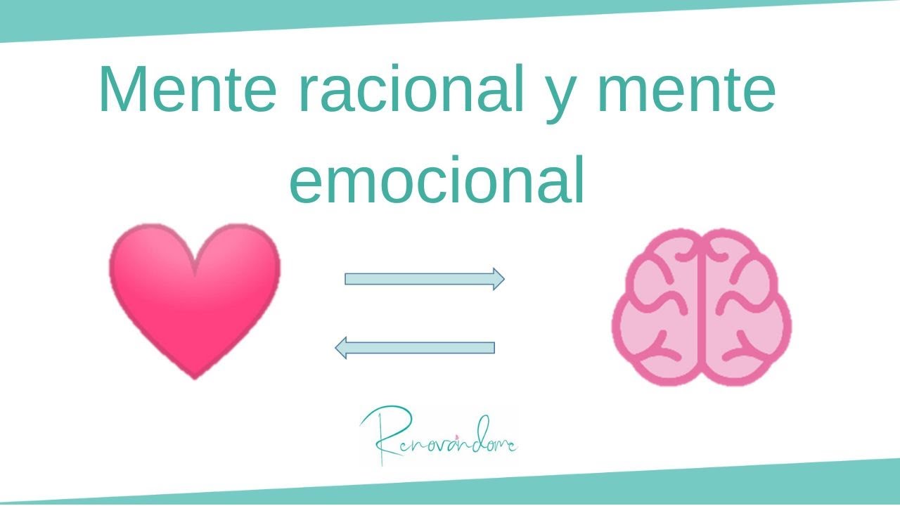 Mente racional y mente emocional ️ 🤔👇👇👇 - YouTube