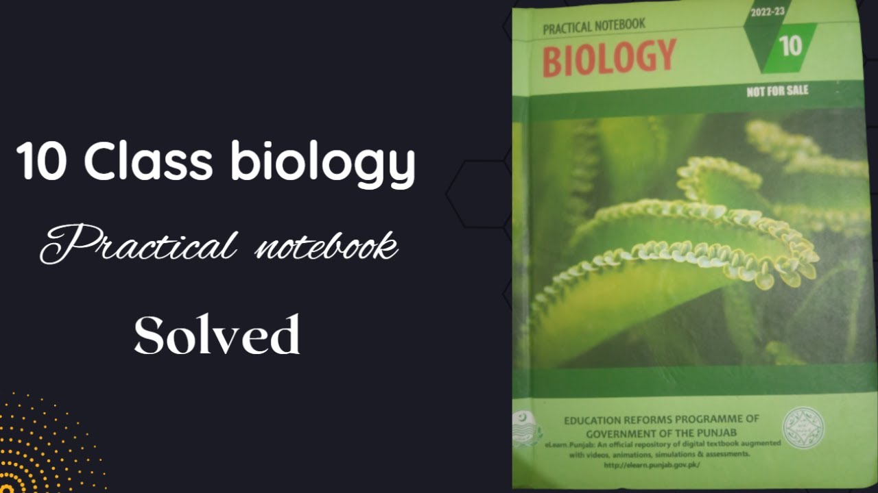 10 Class biology practical notebook solved| Flow artisy| - YouTube