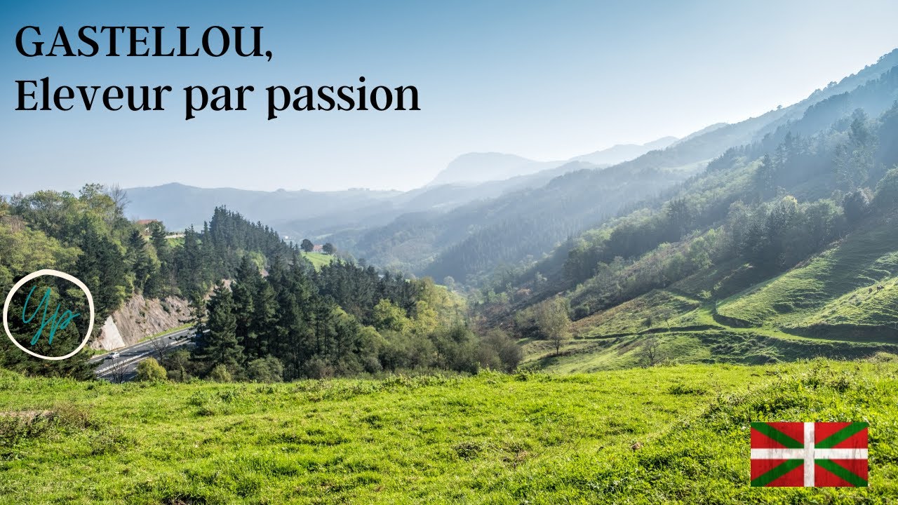 GASTELLOU, Éleveur Passionné ( Reportage Pays Basque Producteur local ...