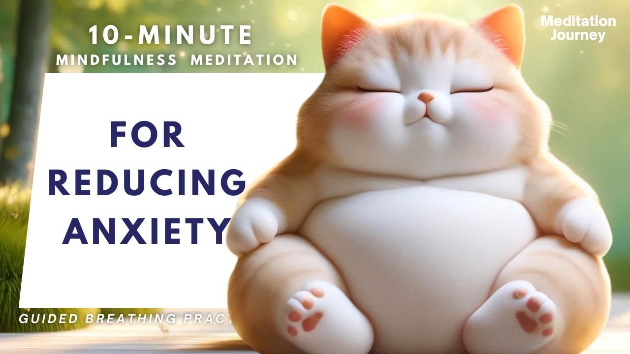 10-Minute Mindfulness Meditation for Reducing Anxiety | Guided ...