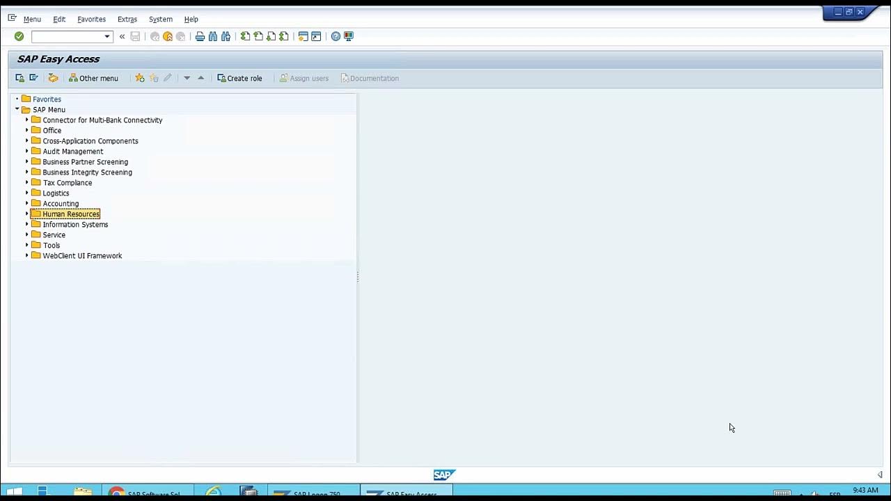 SAP S/4 HANA 005 SAP Easy Access in SAP S 4HANA - YouTube