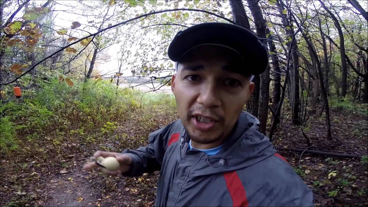 Wind Pro test and review - YouTube