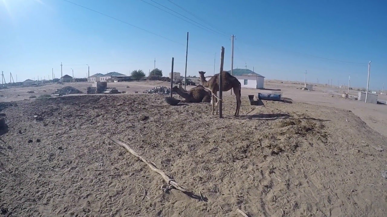 Karakum Desert - YouTube