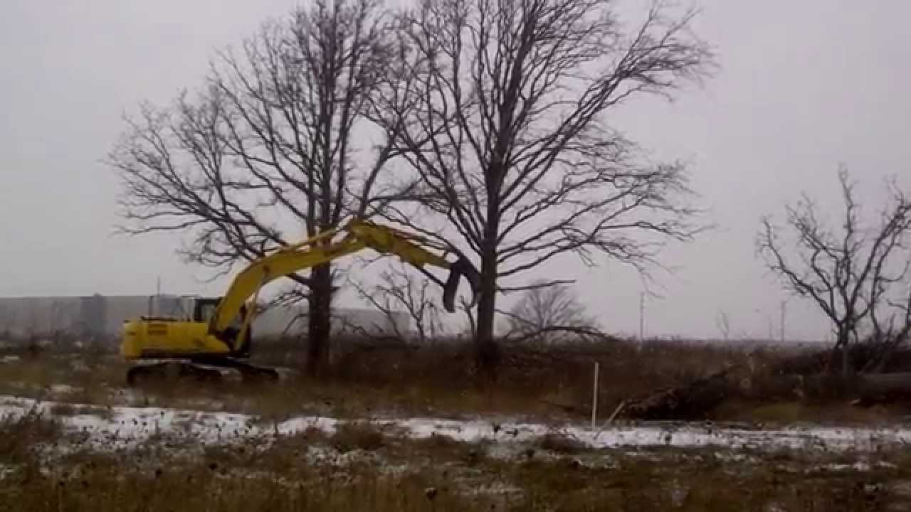 cutting a white oak fence row - YouTube