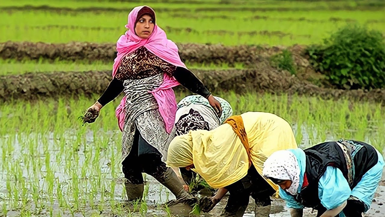 IRAN village life - iranian daily rural life - Poor rural life in iran ...