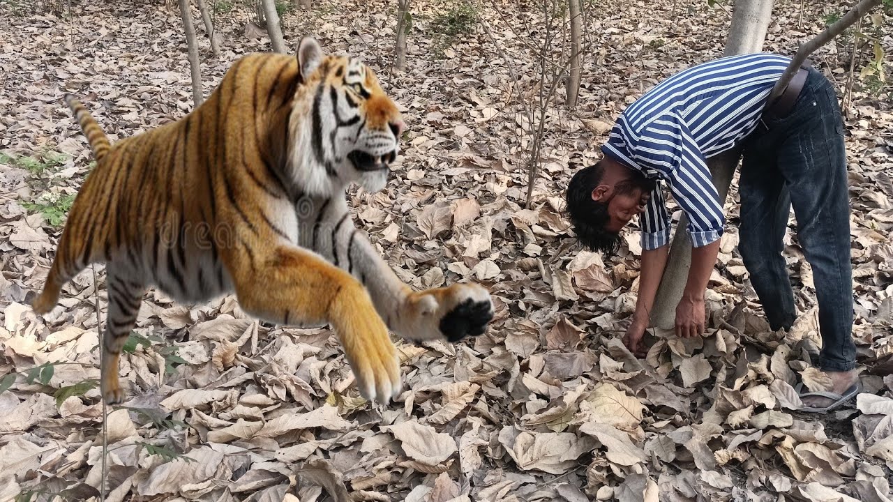 Tiger Attack in the forest part 14 dehradun forest - YouTube