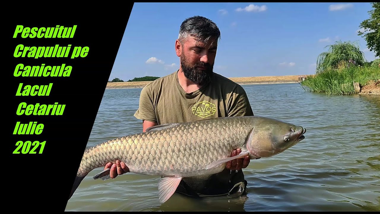 Pescuitul Crapului pe Canicula - Lacul Cetariu Iulie 2021 4K - YouTube