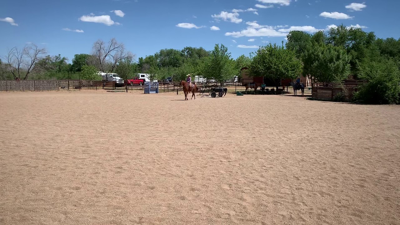 Vivian ( Kay) Oden West Coast Ranch Horse Virtual Show Submission May ...
