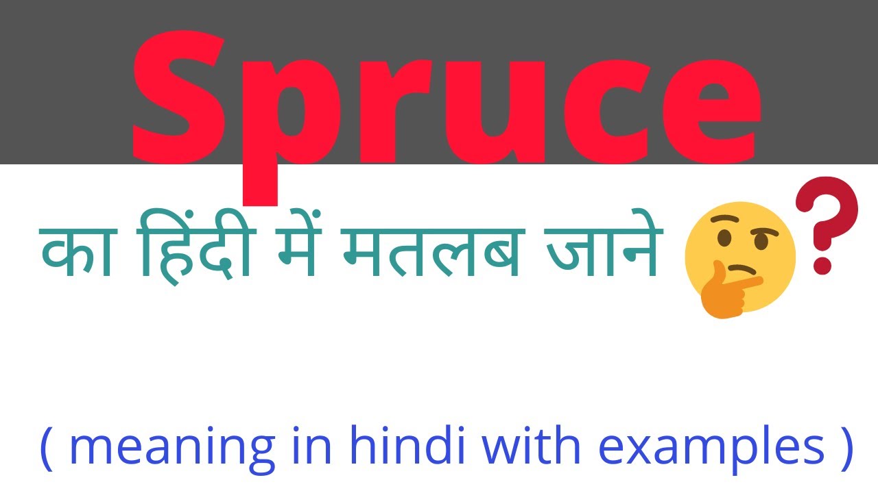 Spruce meaning in hindi।Spruce meaning।Spruce ka kya matlab hota hai ...