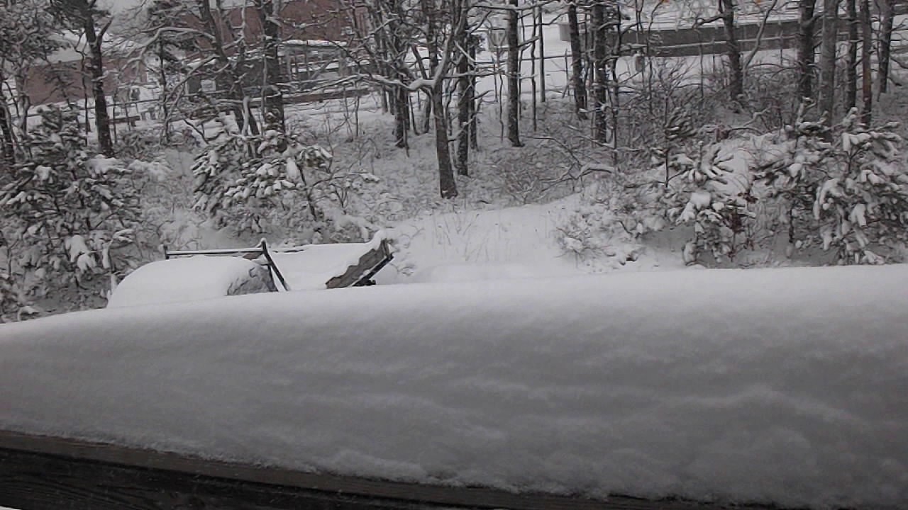 March 10 2017 snow storm Cape Cod - YouTube