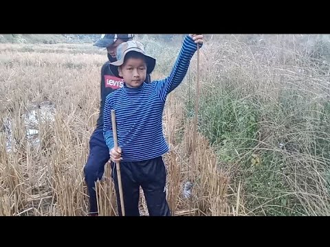 Peka leh Hlu-a ..Vaithang kam naah kan intawng..An chet tlatna an sawi nual bawk - YouTube