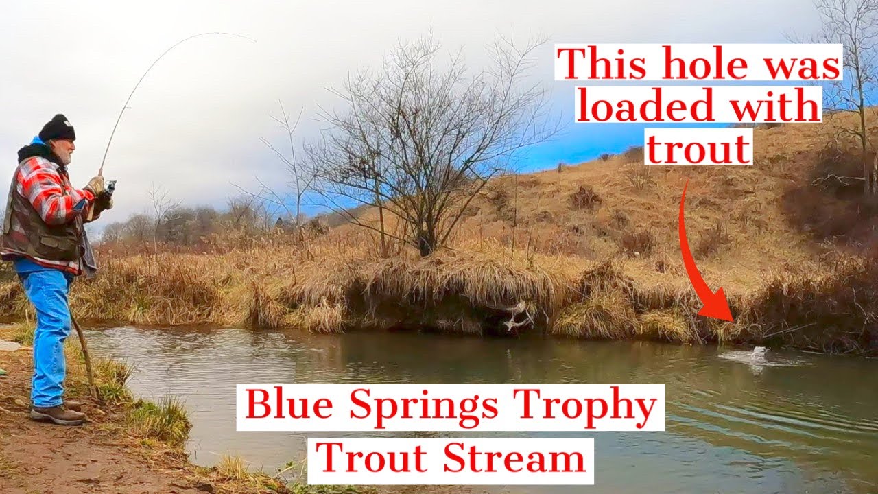 Non-stop action catching big rainbows @ Blue Springs Trophy Trout ...