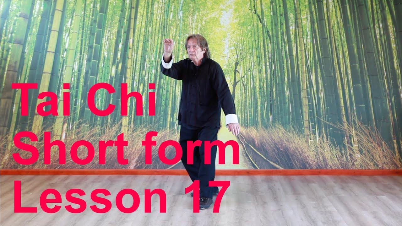 Tai Chi lesson 17 - YouTube