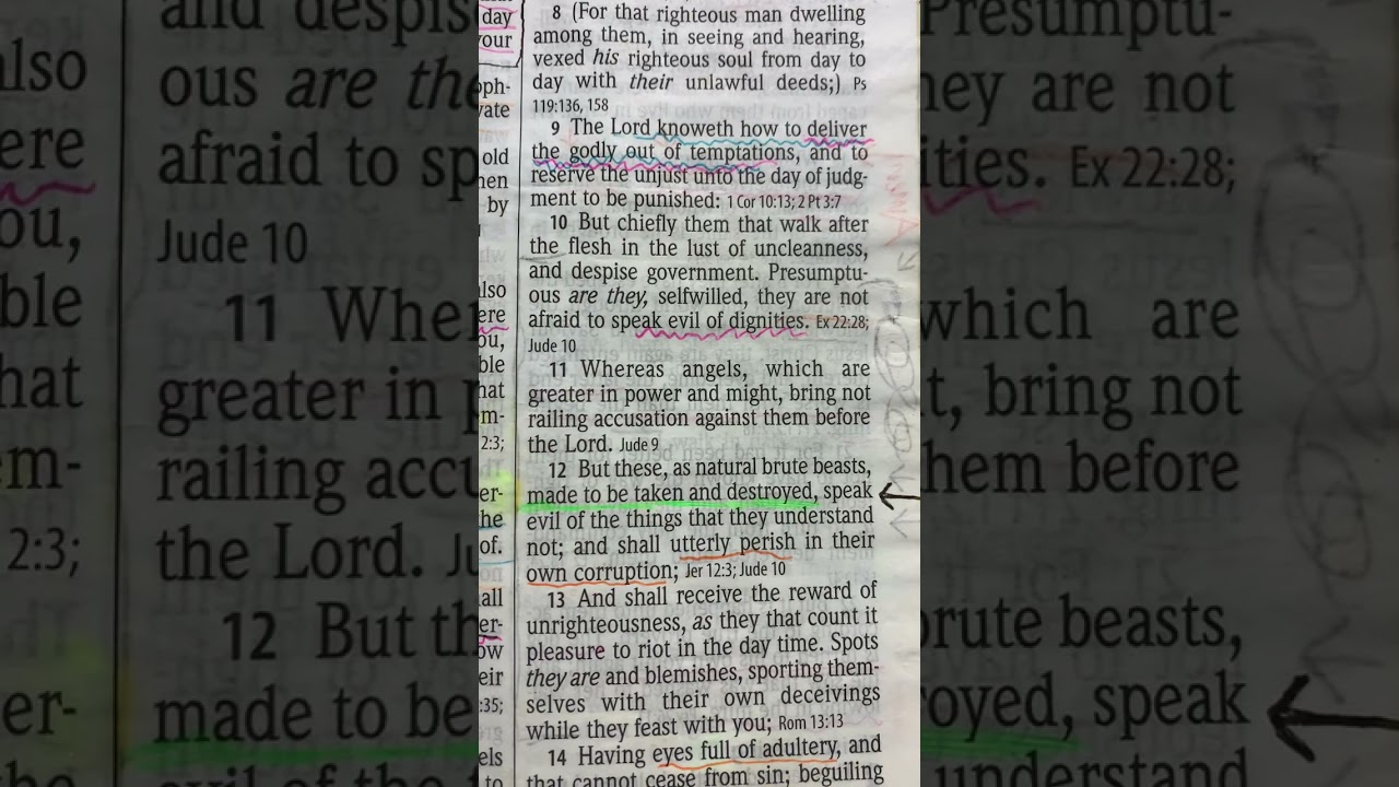Second Peter Chapter 2 KJV YouTube Second Peter Chapter 2 KJV YouTube