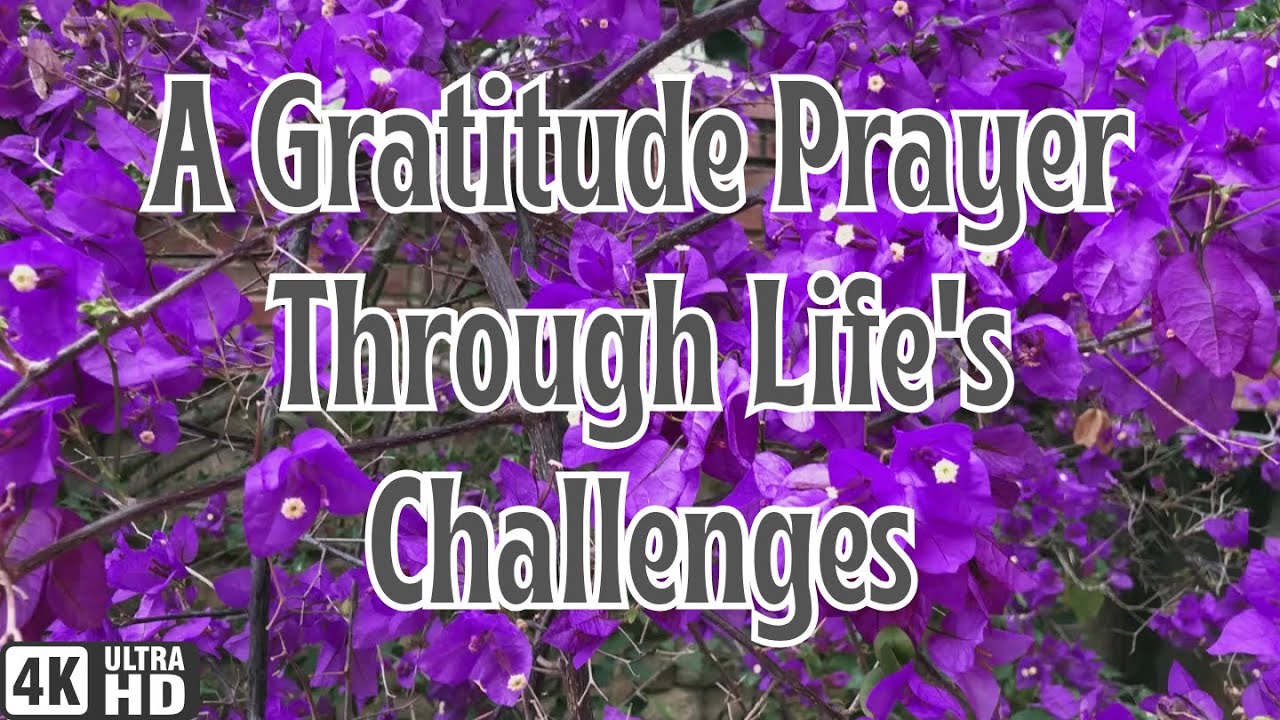 A Gratitude Prayer Through Life's Challenges | Tranquil 4K Video | Serene Audio and BG Music ...