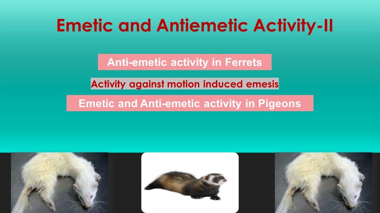 Emetic and Antiemetic activity-II - YouTube
