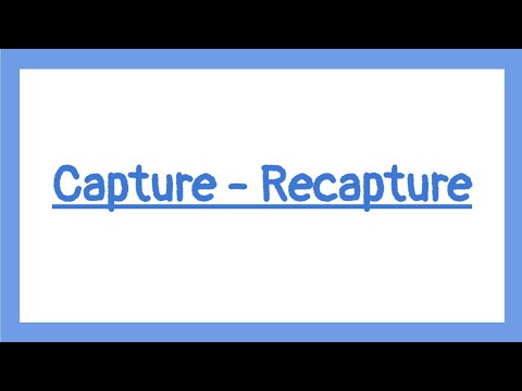 Capture - Recapture | GCSE Statistics - YouTube