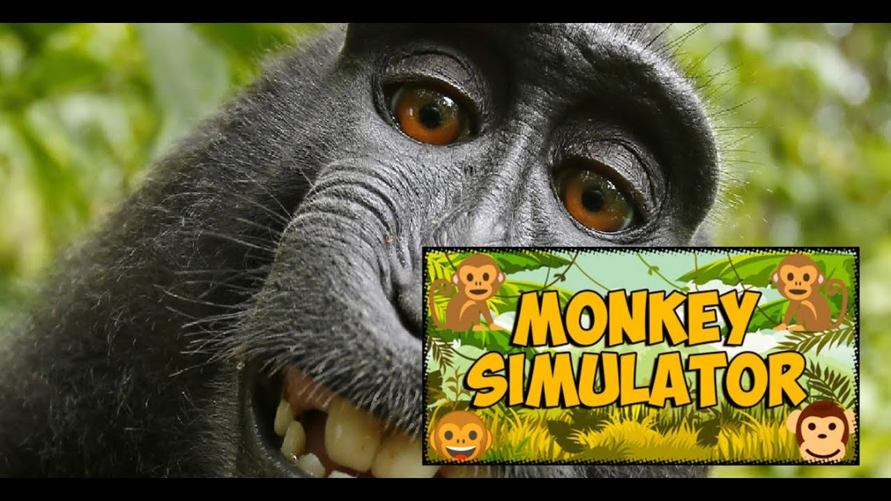 monkey sim hot gameplay!~ - YouTube