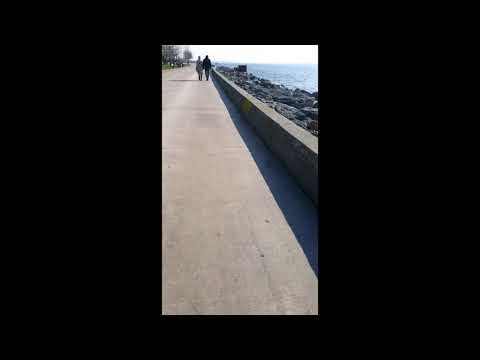 Pendik sahil