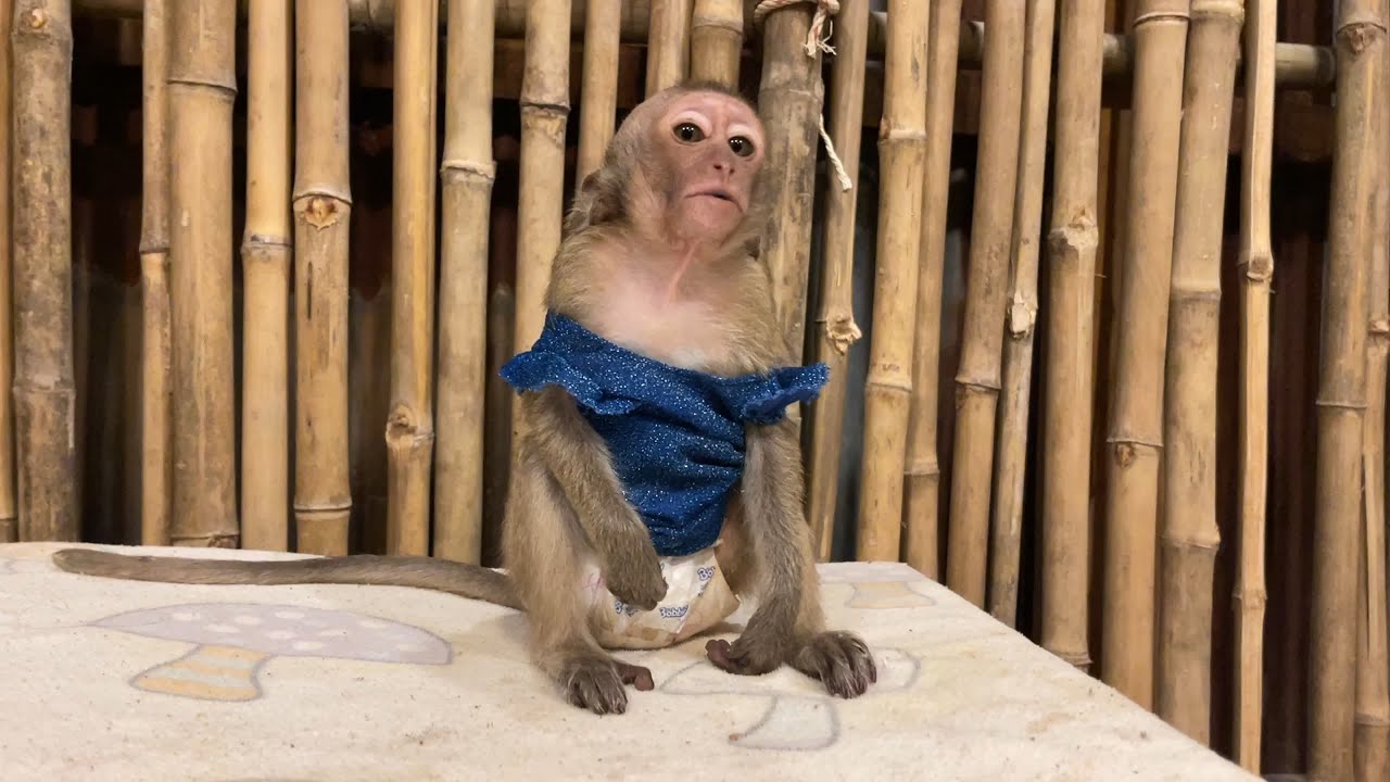 Lovely POPO Waiting Mom Cooking Meal For Her - YouTube