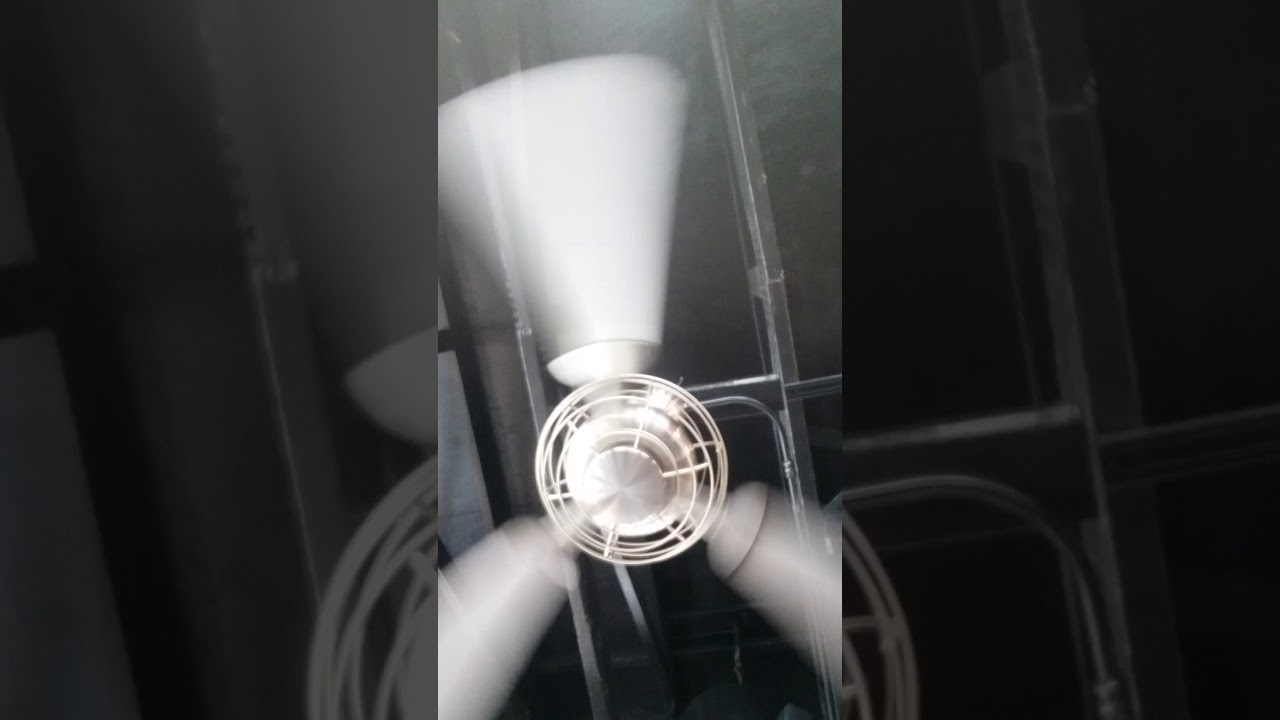Ceiling Fans At Raising Canes - YouTube