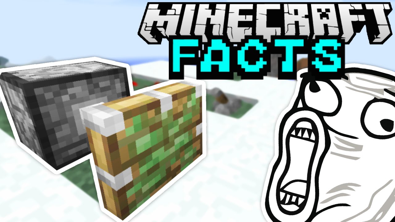 KLEBRIGER KOLBEN! | Minecraft Facts #59 | ConCrafter - YouTube