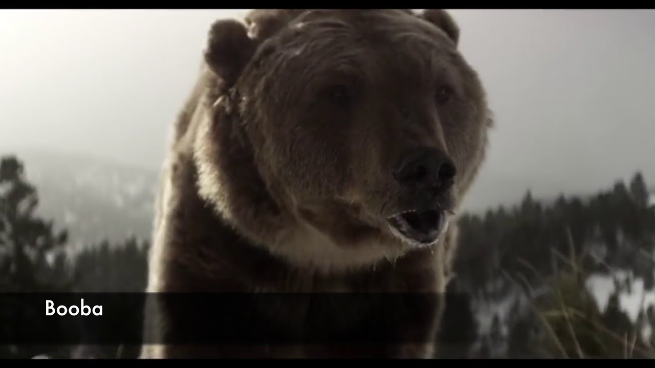 The North Place - Trailer - YouTube