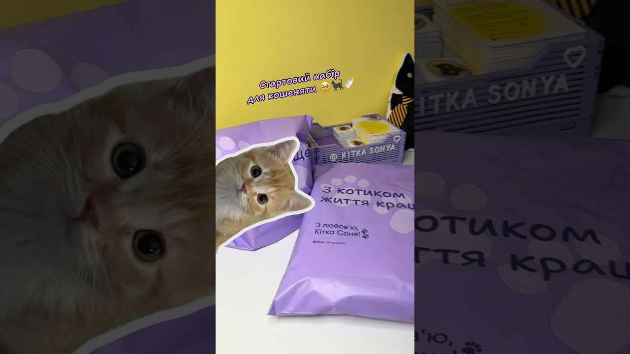 inst: kitka.sonya 💜 - YouTube