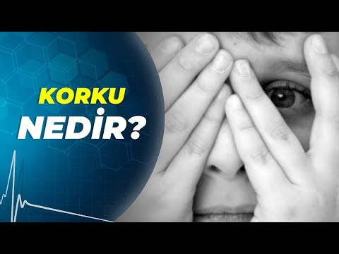 Korku nedir? - Sağlıklı Günler