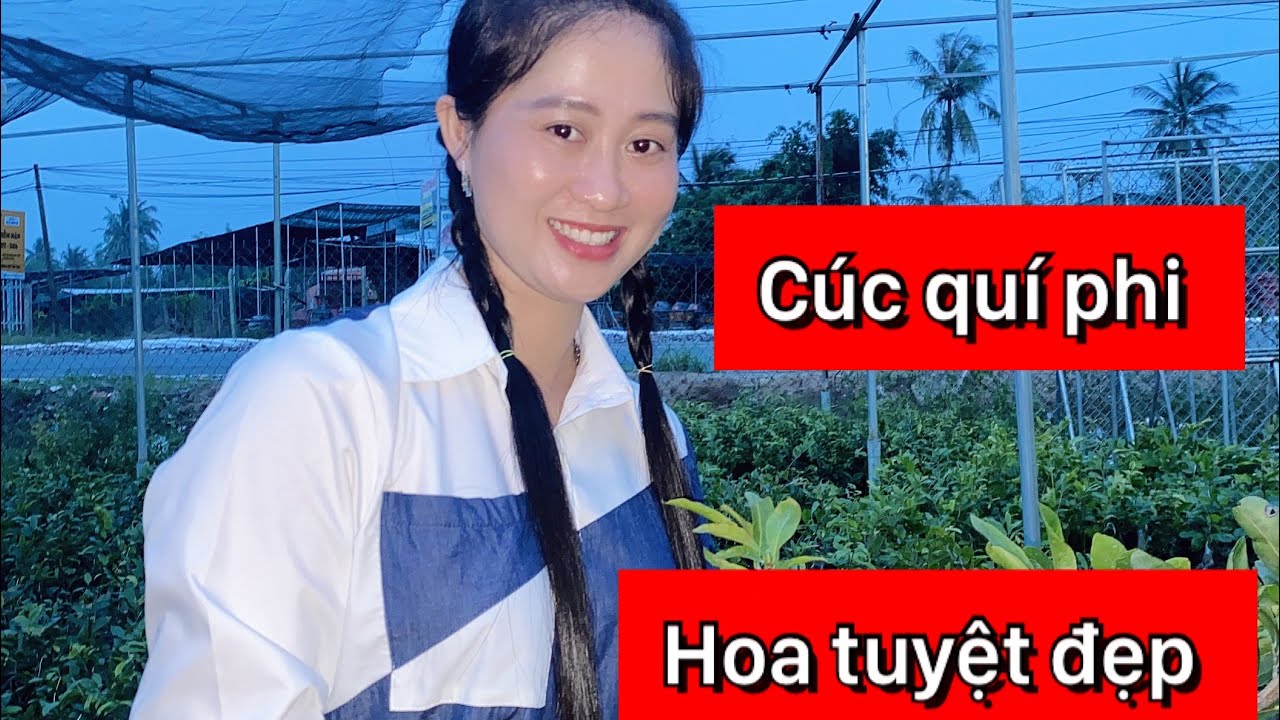 Cúc quí phi e còn so (2),0397142252,ngày 29/10/2020 - YouTube