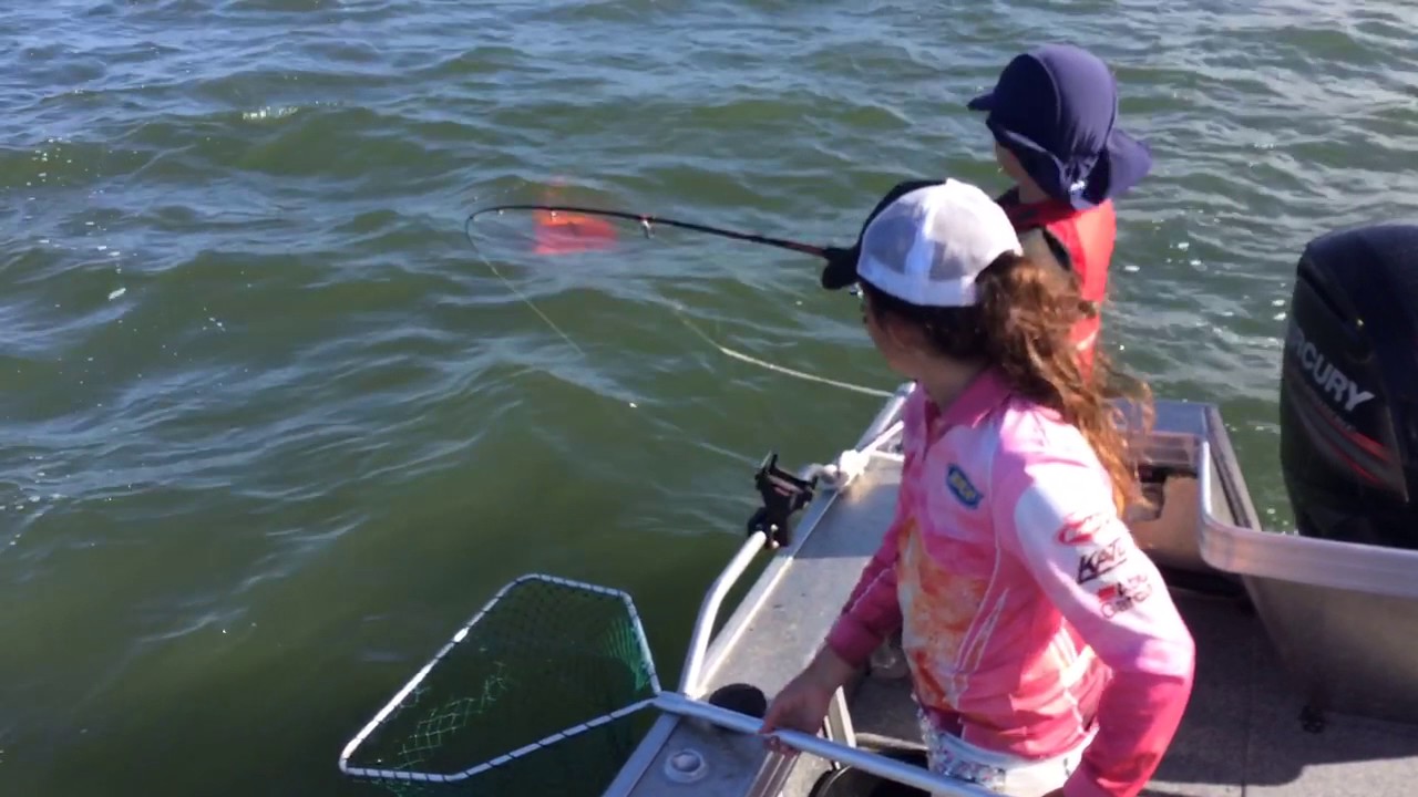 Jewfish - Ethan's first Botany Bay Jewfish - YouTube