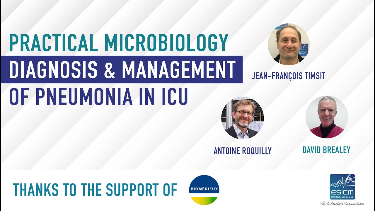 Practical microbiology diagnosis and management of pneumonia in ICU ...