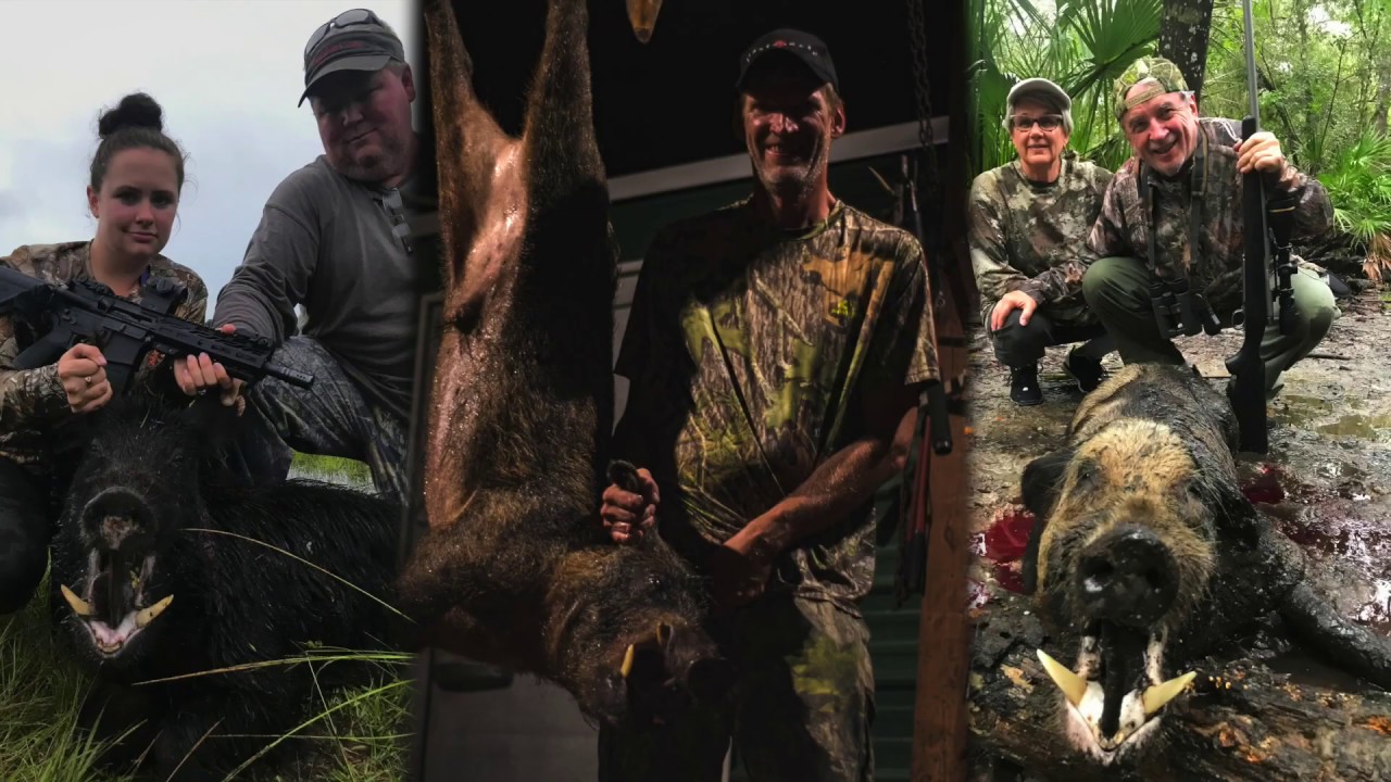 Razzor Ranch - Hog Hunting in Florida - YouTube
