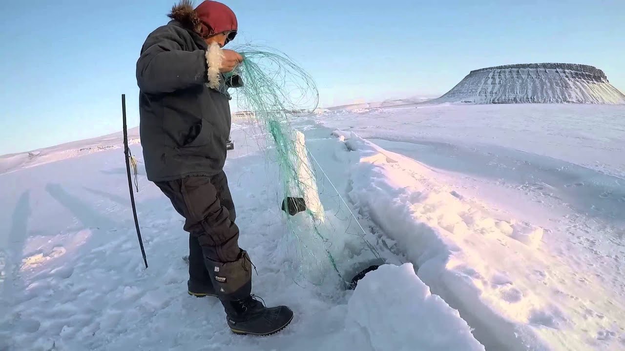 Inuit Hunting And Fishing