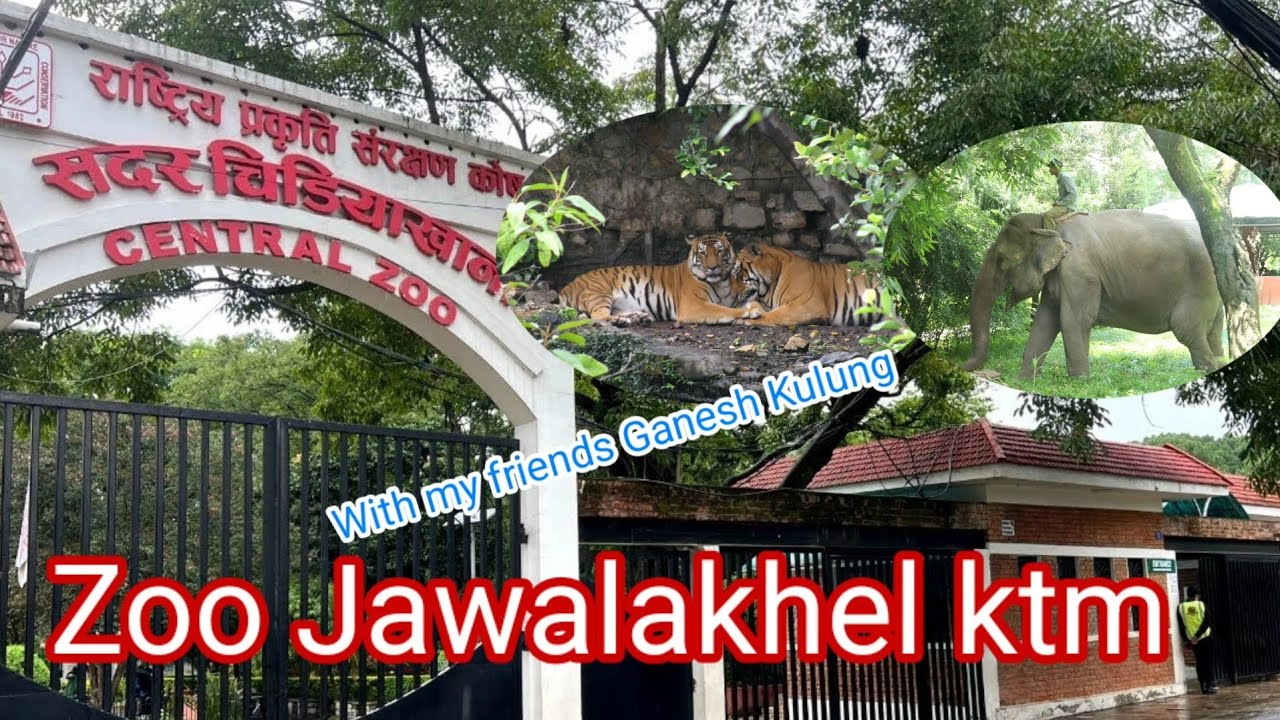 CENTRAL ZOO KATHMANDU NEPAL || VISITING ZOO IN KATHMANDU NEPAL WITH ...