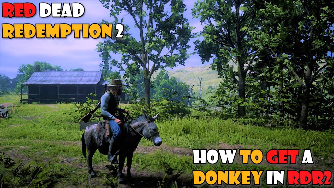 How to get a donkey in RDR2 | Red Dead Redemption 2 - YouTube