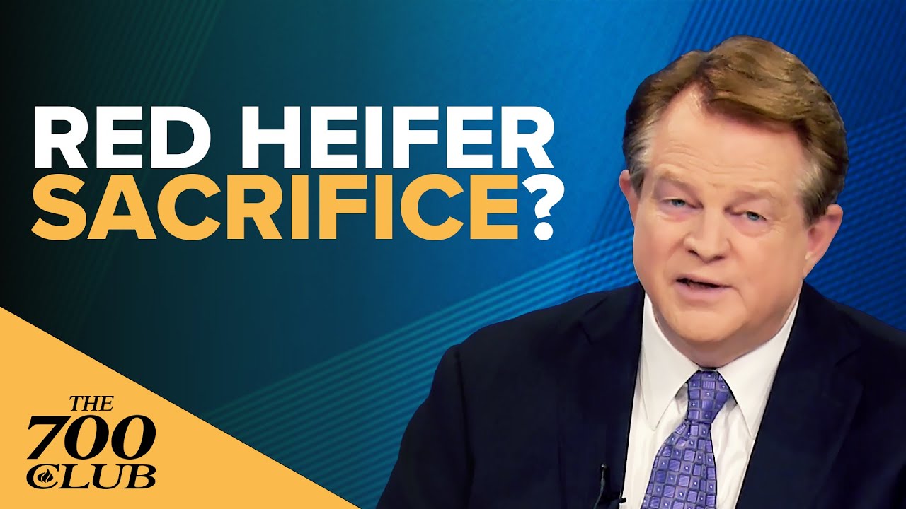 What Is The Red Heifer Sacrifice About In The Bible? - YouTube