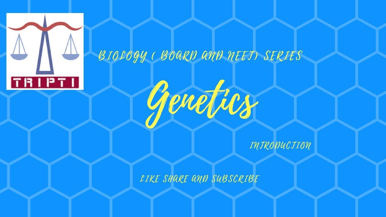 Introduction to Genetics - YouTube