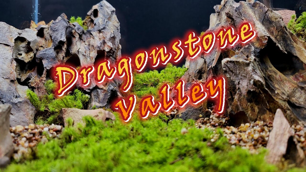 Terrarium Build, Dragonstone Mountains - YouTube