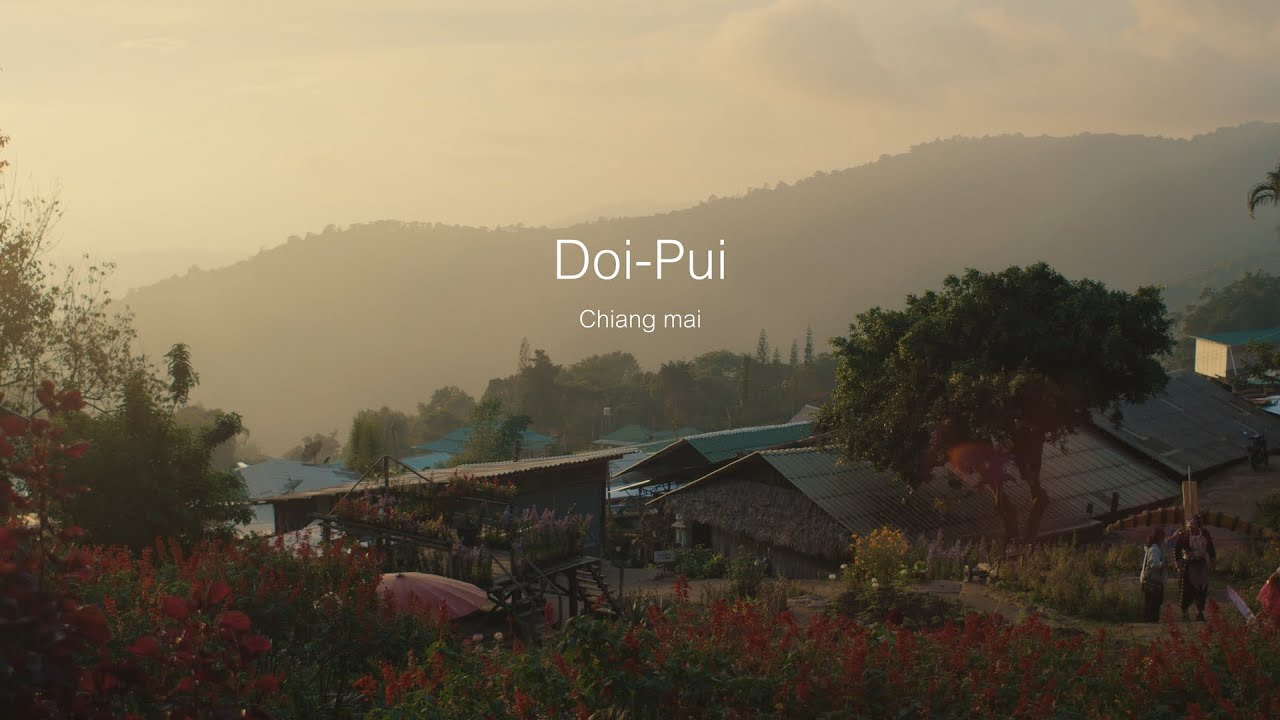 Doi-Pui Thailand - YouTube