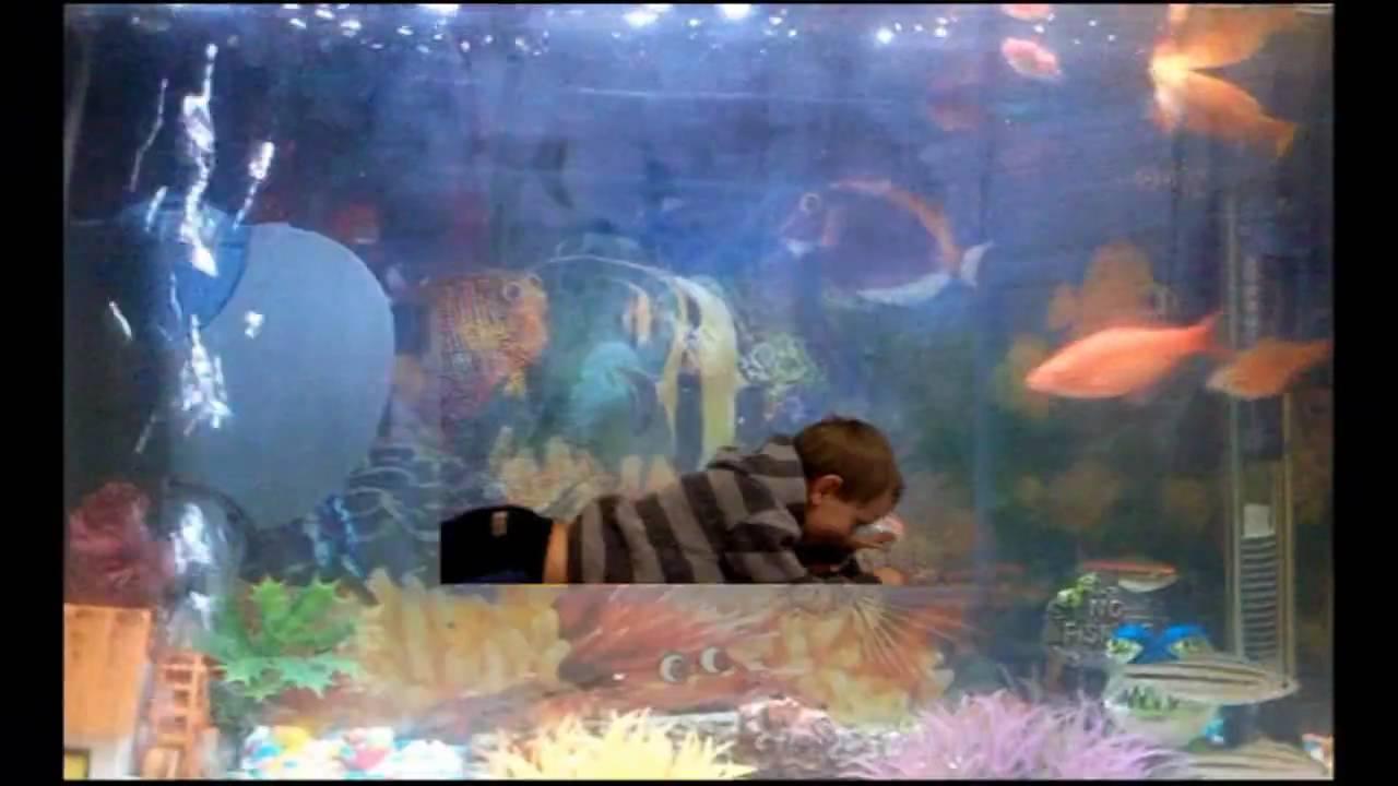 Green Screen Test 2 - Fish Tank - YouTube