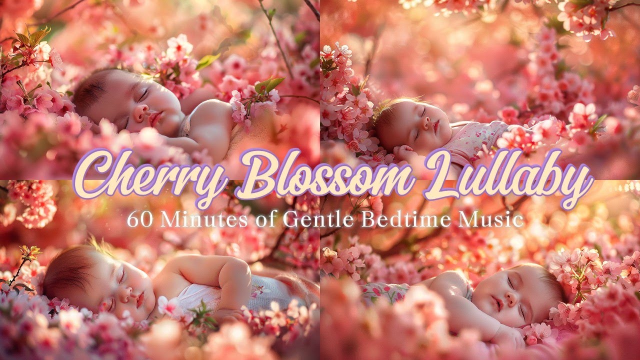 Lullaby For Babies To Go To Sleep ♥ Cherry Blossom Lullaby | 60 Minutes ...