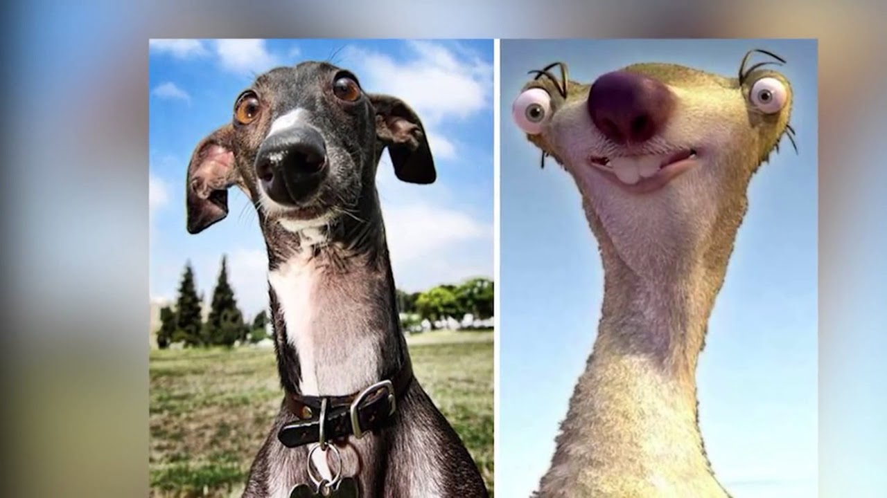 29 characters exists in real life | creations world | - YouTube