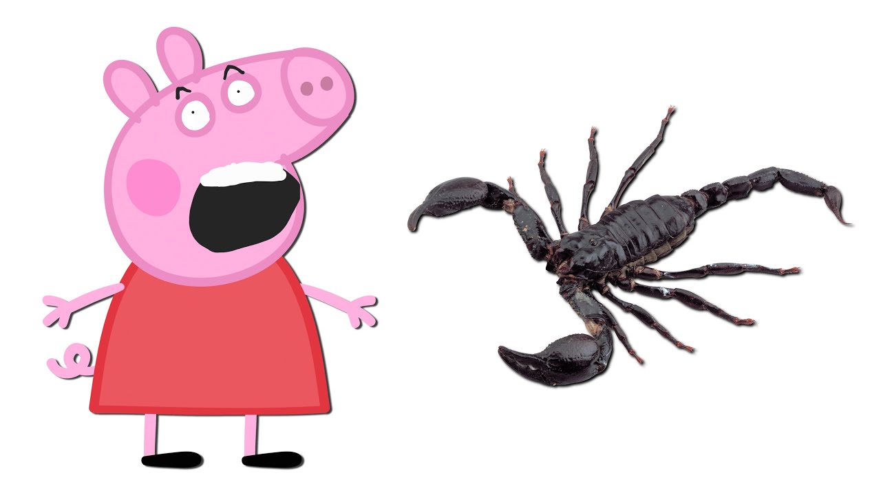 PEPPA PIG Characters And The ANIMALS They Are Scared of and Other ...