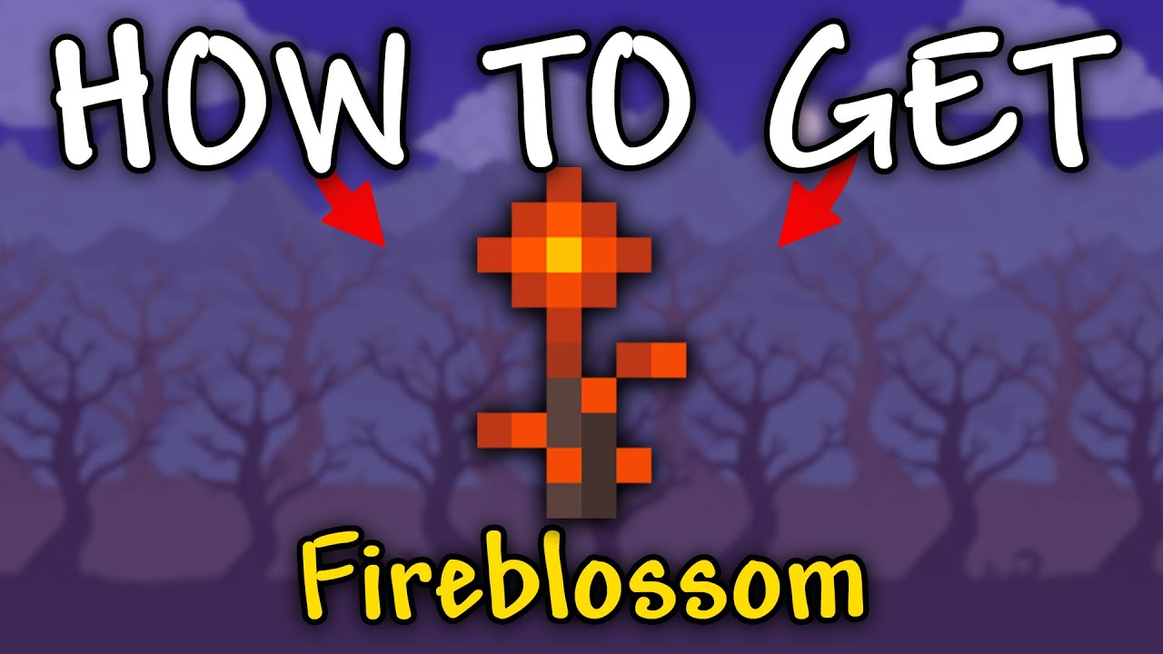 How to Get Fireblossom in Terraria | Fireblossom terraria - YouTube